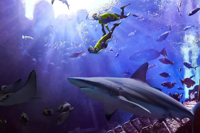 Atlantis The Royal Dubai – The Journeys Collection
